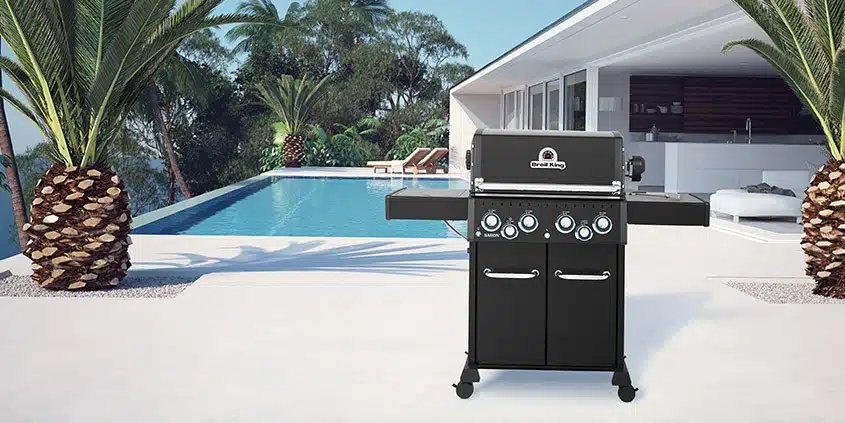 Baron 490 Shadow - Satariano